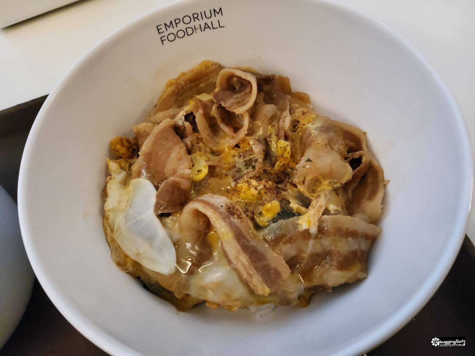 eZy_watermark_14-11-2021_11-29-50 | naiwaen@DebuggingSoft